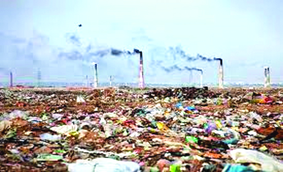 Environmental Pollution and the Case for Recycling | Amandla News