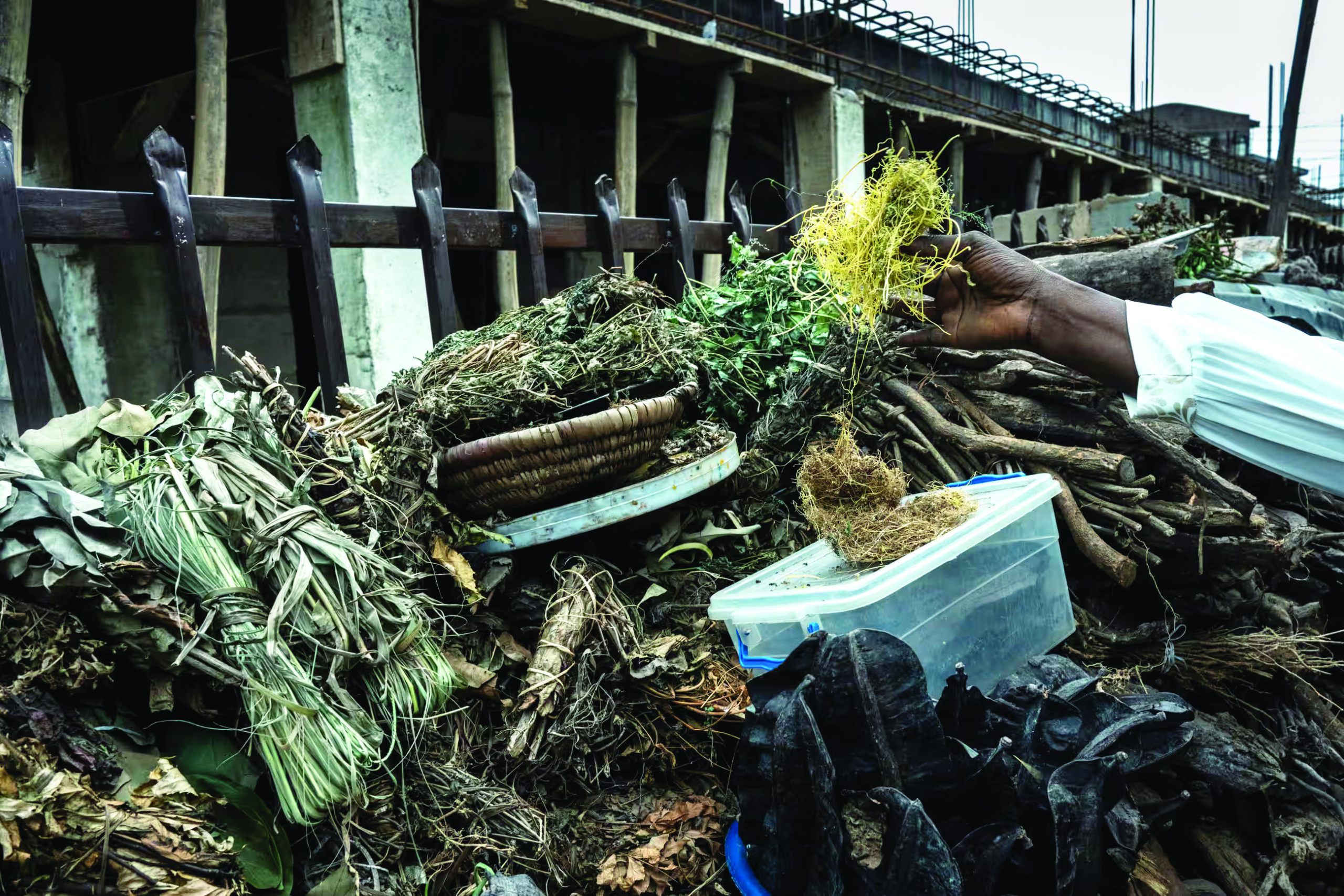 Rat soup, snails and oracles: why Nigeria’s traditional midwives still ...